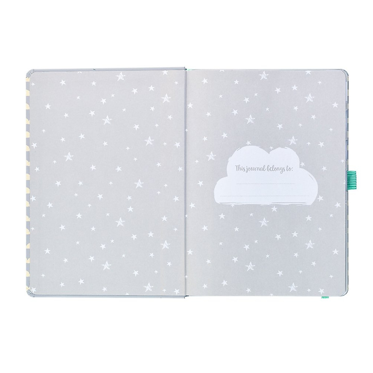 Busy B 6591 Clouds Pregnancy Journal Book