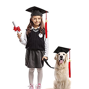 Fahacop 25 Pack 2023 Graduation Tassels Graduation Cap Tassel Charm Academic Graduation Tassels with Gold Date Charm for 2023 Year Graduation Party Ceremony (Red)