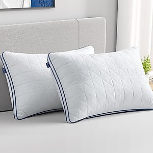 BedStory Pillows for Sleeping,Standard Pillows Set of 2,Cooling Pillows with Mesh Design,Premium Soft Down Alternative Fill Supportive for Back, Stomach or Side Sleepers