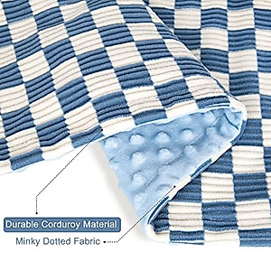 BEILIMU Baby Blanket+Dinosaur Security Blanket for Boys Girls 3D Checkerboard Grid Ultra- Soft Cozy Corduroy Toddler Blanket for Kids