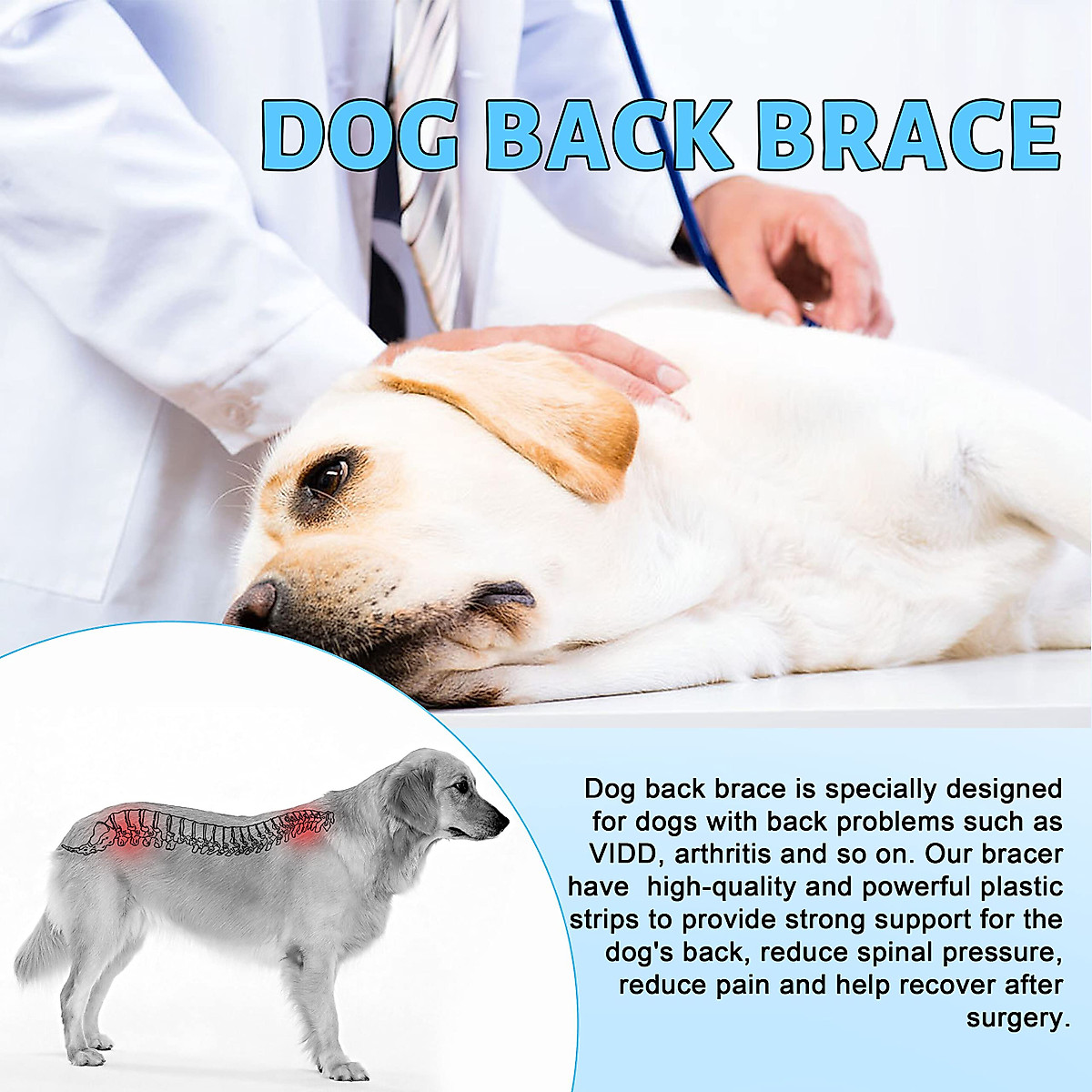 OShuKang Dog Back Brace for Dogs, Hip Brace Support for Pet, Back Brace for Dogs with IVDD, Surgery Recovery and Rehabilitation, Dog Back Disease Rrevention(S)