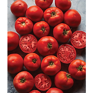 Burpee 'Big Boy' Hybrid Tomato Seeds, Large Slicing Tomato with Rich Flavor,50 Non-GMO Seeds
