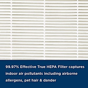 AprilAire RF09550P Allergy + Pet True HEPA Air Purifier Replacement Filter for AprilAire Room Air Purifier Model 9550, Removes Pet Allergens, Viruses, & Odors, Ozone Free