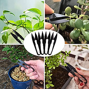 Sago Brothers Bonsai Pruning Scissors 5 PCS, Small Pruner Shears, Bud Leaves Trimmer, Garden Shears for Plants, Gardening Clippers for Flower, Stainless Steel Bud and Bonsai Trimming Pruners Trimmers