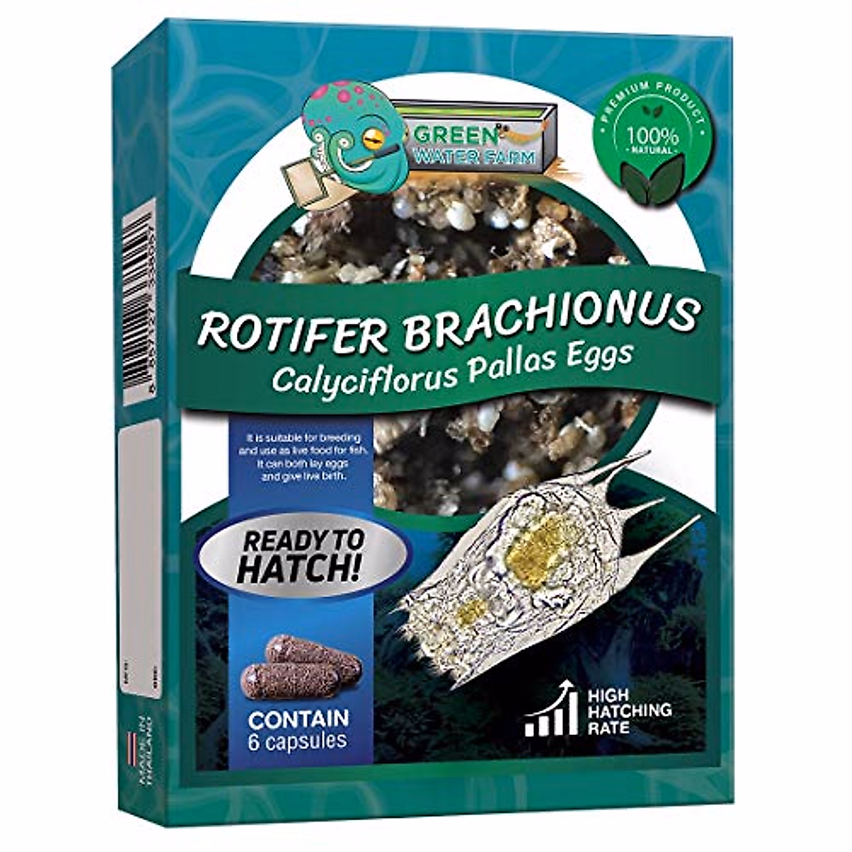 GREEN WATER FARM Rotifers Brachionus calyciflorus Pallas Eggs Live Fish Food for Hatching and Culture Suitable for Feed Betta Fish