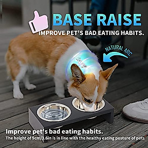 Pawise Elevated Dog Bowls, Raised Cat Feeder Elevated Food and Water Bowls Stand with 2 Stainless Steel Bowls and Anti Slip Feet, Wooden Frame Pet Feeder 750ml
