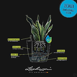 Lechuza 13333 Classico Color 60 Self-Watering Planter for Indoor and Outdoor Use, 23" x 23" x 22", Sand Brown