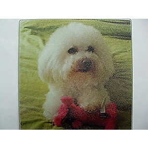 Direct2home 8x8 Bichon Frise Kitchen Counter Art Tempered Glass Cutting Board Surface Saver Bar Prep