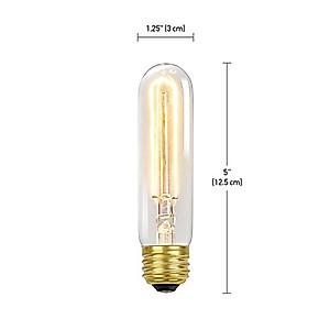 Globe Electric 01322 60W Vintage Edison T10 Radio Tube Incandescent Filament Light Bulb, E26 Base, 245 Lumens