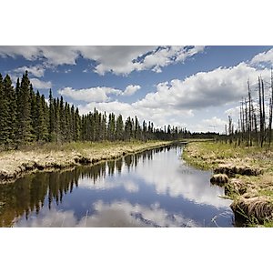 Posterazzi Clouds Reflected In A Tranquil River Lined With Trees Thunder Bay Ontario Canada Poster Print, (19 x 12)