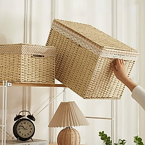 Rattanzenith Foldable Basket with Lid Large Storage Bin with Handle & Liner Paper Rope Woven Basket for organizing Clothes Toy Blanket Shelf Basket for Closet Organizers and Storage (Beige, Large)