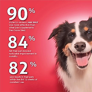 Joint MAX TS Joint Supplement Vet Formulated Pain & Inflammation Relief Treats Hip Dysplasia & Arthritis.Glucosamine, Chondroitin, Turmeric, MSM, HA, Creatine, Omega 3 EPA+DHA. All Dogs 240 Soft Chews