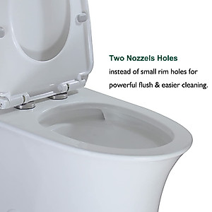 WinZo Elongated One Piece Toilet 3-in Dual Flush with Soft Closing Seat For Modern Bathroom,White (5020)