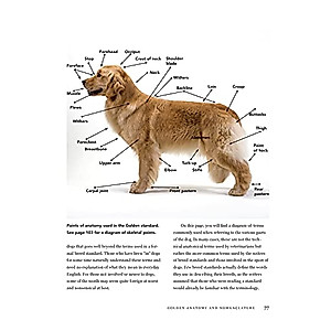 The Golden Retriever: An Authoritative Look at the Breed's Past, Present, and Future (CompanionHouse Books) In-Depth History in the U.S. and U.K., the AKC Standard, and More (Kennel Club Classics)