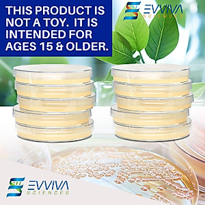Evviva Sciences Nutrient Agar Petri Dishes Science Project Kit, Pre-Poured Agar Plates for Science Experiments, with Experiment eBook