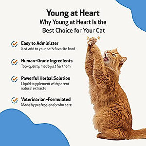 Pet Wellbeing Young at Heart for Cats - Vet-Formulated - Supports Cardiovascular (Heart & Circulatory) Health - Natural Herbal Supplement 2 oz (59 ml)