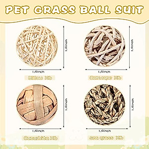 Sosation 24 Packs Guinea Pigs Toys Small Animals Play Balls Chew Gnawing Treats Bunny Toys Hay Grass Balls for Small Animals Entertainment PET Cage Accessories