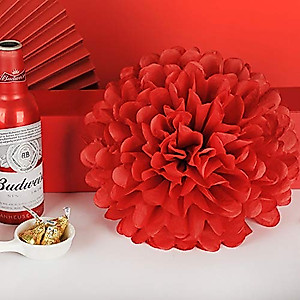 MISU 10" Red Tissue Pom Poms DIY Tissue Paper Flowers for Birthday Wedding Baby Shower Tea Party Dessert Table Decoration, Pack of 18