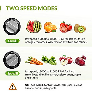 Juicer, Easehold Juicer Machines, Vegetable and Fruit Centrifugal Juicer, 600W Juice Extractor, 2-Speed Setting, Anti-Drip with Juice Jug and Pulp Container