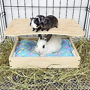 Guinea Pig Hideout-Natural Wooden Guinea Pig Bedding Guinea Pig Toys with Stairs and Mat,Detachable Guinea Pig Bed for Guinea Pig Cages Hamsters Bunny Chinchillas.