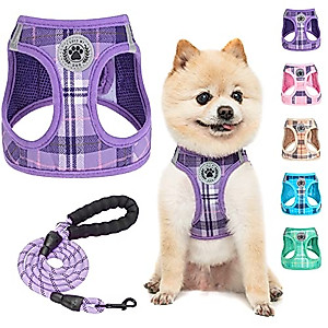 BEAUTYZOO Small Dog Harness and Leash Set,Step in No Chock No Pull Soft Mesh Dog Harnesses Reflective for Extra-Small/Small Medium Puppy Dogs and Cats, Plaid Dog Vest Harness for XS S Pets, Purple S