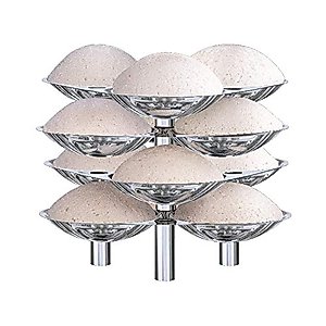 SSID5 Stainless Steel Idli Stand, 12, Silver