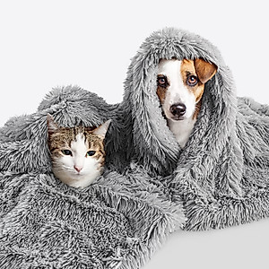 LOCHAS Luxury Fluffy Dog Blanket, Extra Soft and Warm Sherpa Fleece Pet Blankets for Dogs Cats, Plush Furry Faux Fur Puppy Throw Cover, 20''x30'' Grey