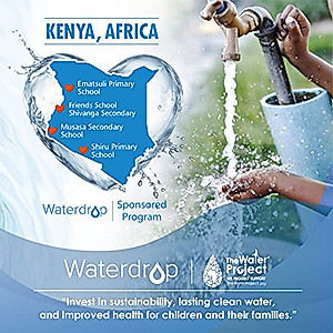 Waterdrop WD-G3P800-N2RO Filter, Replacement for WD-G3P800-W Reverse Osmosis System, 2-year Lifetime, Reduce PFAS