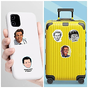MONDAYTOZ 20 Pcs Stickers Packs Carrey Decal of Colorful Jim Aesthetic Vinyl Sticker Waterproof for Water Bottle Laptop Computer Luggage Phone Car Skateboard Bumper