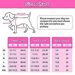 ASENKU Dog Life Jackets, Ripstop Pet Floatation Life Vest for Small, Medium, Large Size Dogs, Dog Lifesaver Preserver Swimsuit for Water Safety at The Pool, Beach, Swimming, Boating (XL,Pink Shark)