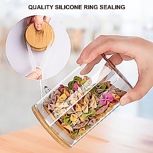 3-pack 18oz Airtight Glass Storage Canister with Wood Lid Spoon and Tray, Food Glass Jars ,Overnight Oats Containers with Lids,Decorative Kitchen Jars for Coffee Tea Sugar Spice,Salt Containers