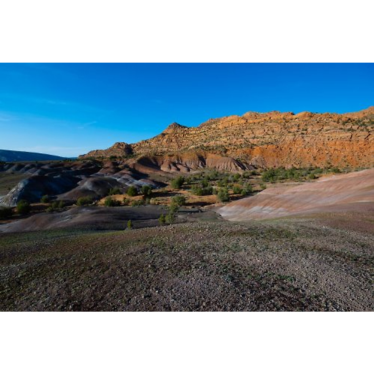 Sigma SD15 14MP X3 FOVEON CMOS Digital SLR with 3.0 inch LCD