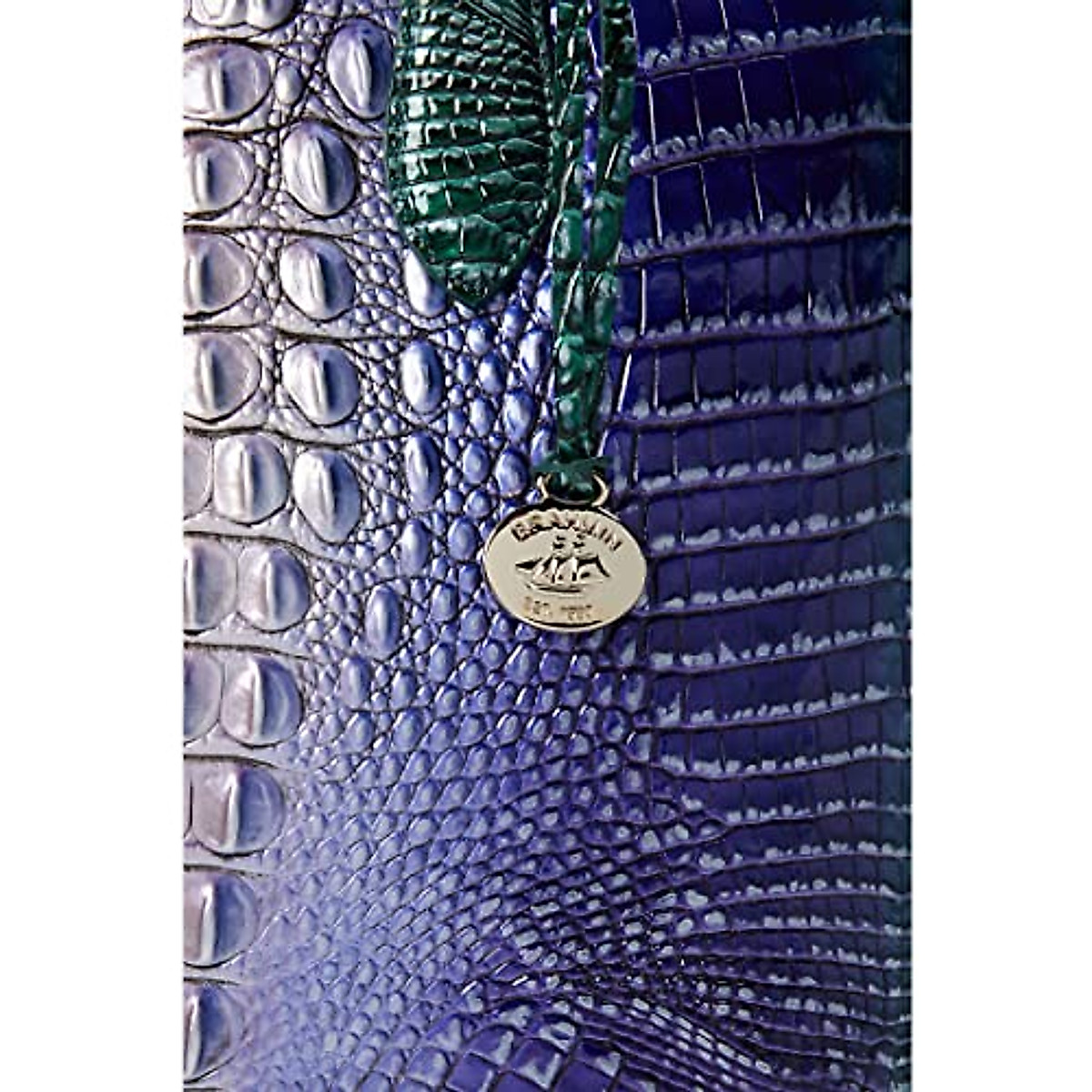 BRAHMIN Ombre Melbourne Ellen Tote Enchant One Size