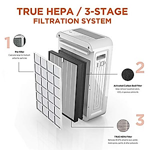 Aprilaire Allergy True HEPA Room Air Purifier 9550 with 3-Stage Filtration, Captures Allergens & Odors, Ozone Free, 495 sq. ft. Rooms