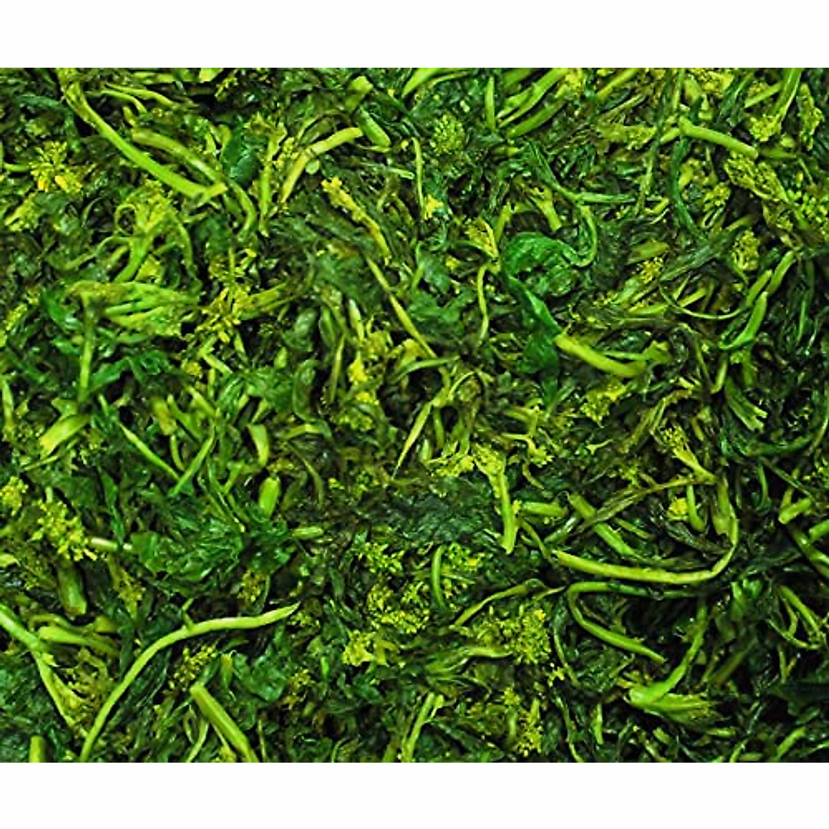 Broccoli Rabe Friarielli Preserved in EVOO - Maida Farm, Campania, Italy