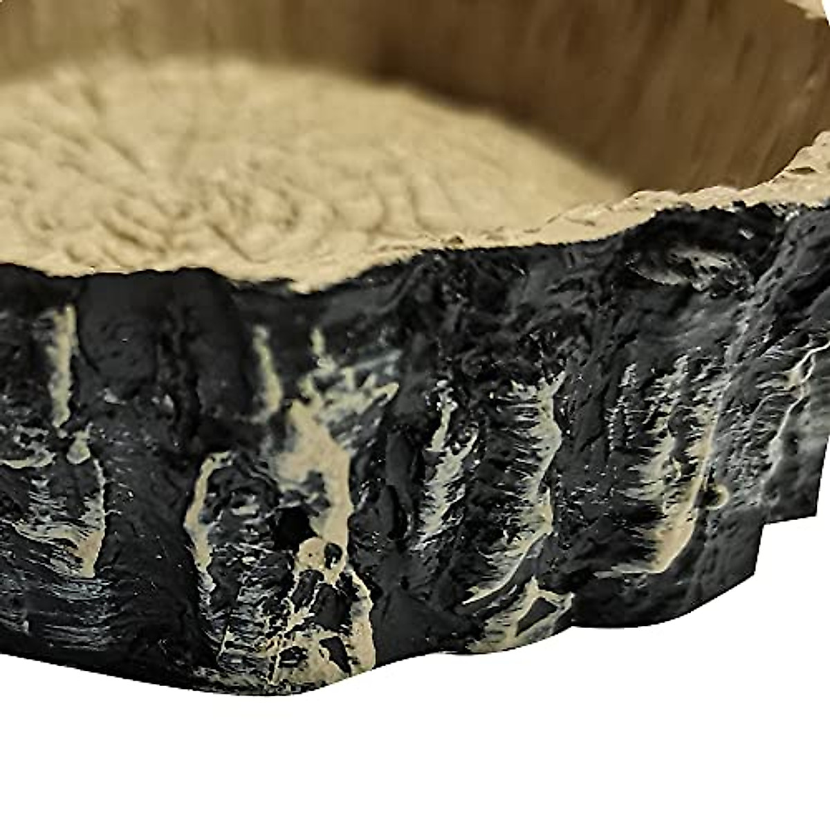 Reptile Water Dish Feeder Bowl Pet Feeding Tray Environmentally Friendly Resin for Tortoise, Gecko, Turtle, Snake, Lizard, Spider, Chameleon