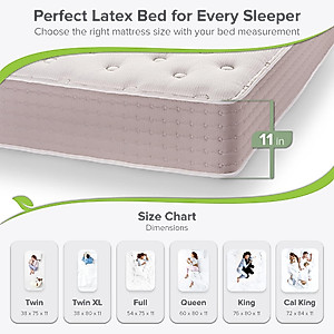 Eco Terra | Natural Latex | Luxury Hybrid Mattress | Medium Mattress with Encased Coil Spring | Full