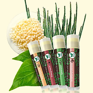 Earth's Daughter Vegan Lip Balm 4-pack, Beeswax Free Lip Balm, Natural, Organic Flavors - Assorted Flavors, Plant Based Vegan Chapstick, Moisturizer