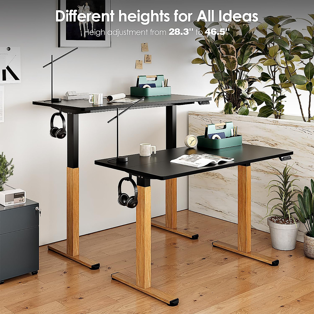 Monomi Electric Standing Desk, 55 x 24 inches Height Adjustable Desk, Ergonomic Home Office Sit Stand Up Desk with Memory Preset Controller (Black Top/Dark Wood Grain Frame)
