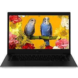 Samsung Galaxy Chromebook Go 14" Laptop for Student, Intel Celeron N4500 Processor up to 2.8GHz, 4GB LPDDR4 RAM, 64GB eMMC, WiFi 6, Silver, Chrome OS (Renewed)