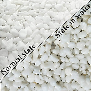 JZMYXA Aquarium Decorative Sands White Gravel Pebbles Fit for Aquariums Succulent Plants Terrarium Landscape, 2 Pounds
