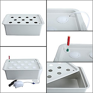 Xeternity-Made Indoor Hydroponic Grow Kit with Bubble Stone, 11 Sites (Holes) Bucket, Air Pump, Sponges - Best Indoor Herb Garden