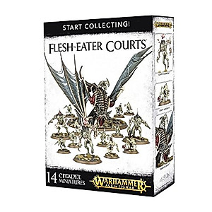Games Workshop 99120207039 Flesh-Eater Courts: Star Collecting! Action Figure, Black, 12.3 x 8.9 x 2.7 cm