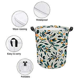 RENJUNDUN Laundry Hamper Basket Clementine Sprigs Laundry Bag Collapsible Oxford Cloth Stylish Home Storage Bin with Handles 17.3inch H x 16.5inchD
