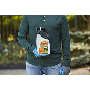 Ortho Home Defense Backyard Mosquito and Bug Killer Ready-To-Spray For Insects, 32 oz.