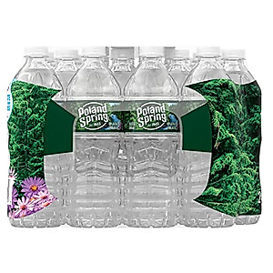 Poland Spring Brand 100% Natural Spring Water, 16.9 oz Plastic Bottles (Pack of 24)
