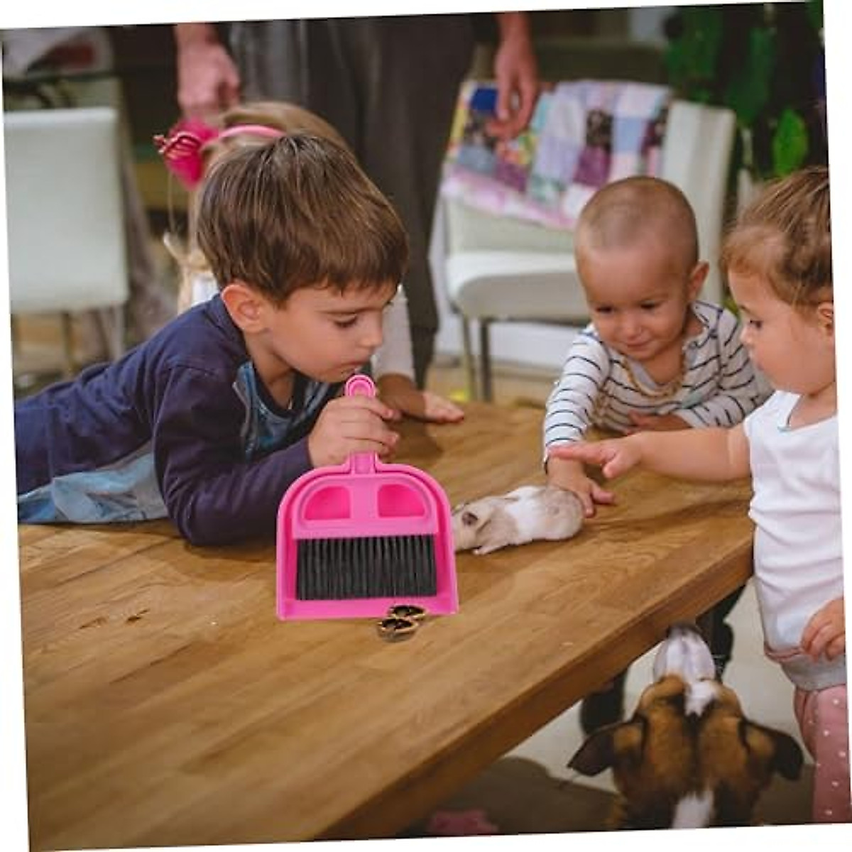 Cabilock 1 Set Pet Cleaning Tool Push Broom Dog Wipes Portable Cleaning Brush Toys Spray Squeegee Mini Cleaning Broom and Dustpan Mini Broom Pet Nest Broom Lint Remover Starter Plastic Rosy