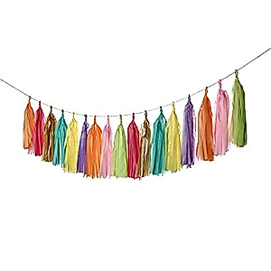GUZON Tissue Paper Tassel DIY Party Garland Decor for All Events & Occasions ，40 Tassels Per Package