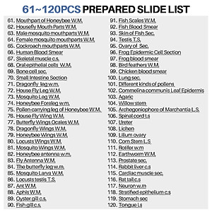 120Pcs Prepared Microscope Slides Animals Insects Plants Bacterial Sample Biological Slide Specimen for Kids Students Adults, for Science Study and Education