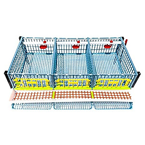 Quail Cage - 3 Layer (Power-Washable, Durable, ABS Plastic) | Hatching Time